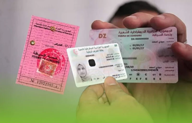 Un nouveau décret exécutif réorganise les catégories de permis de ...